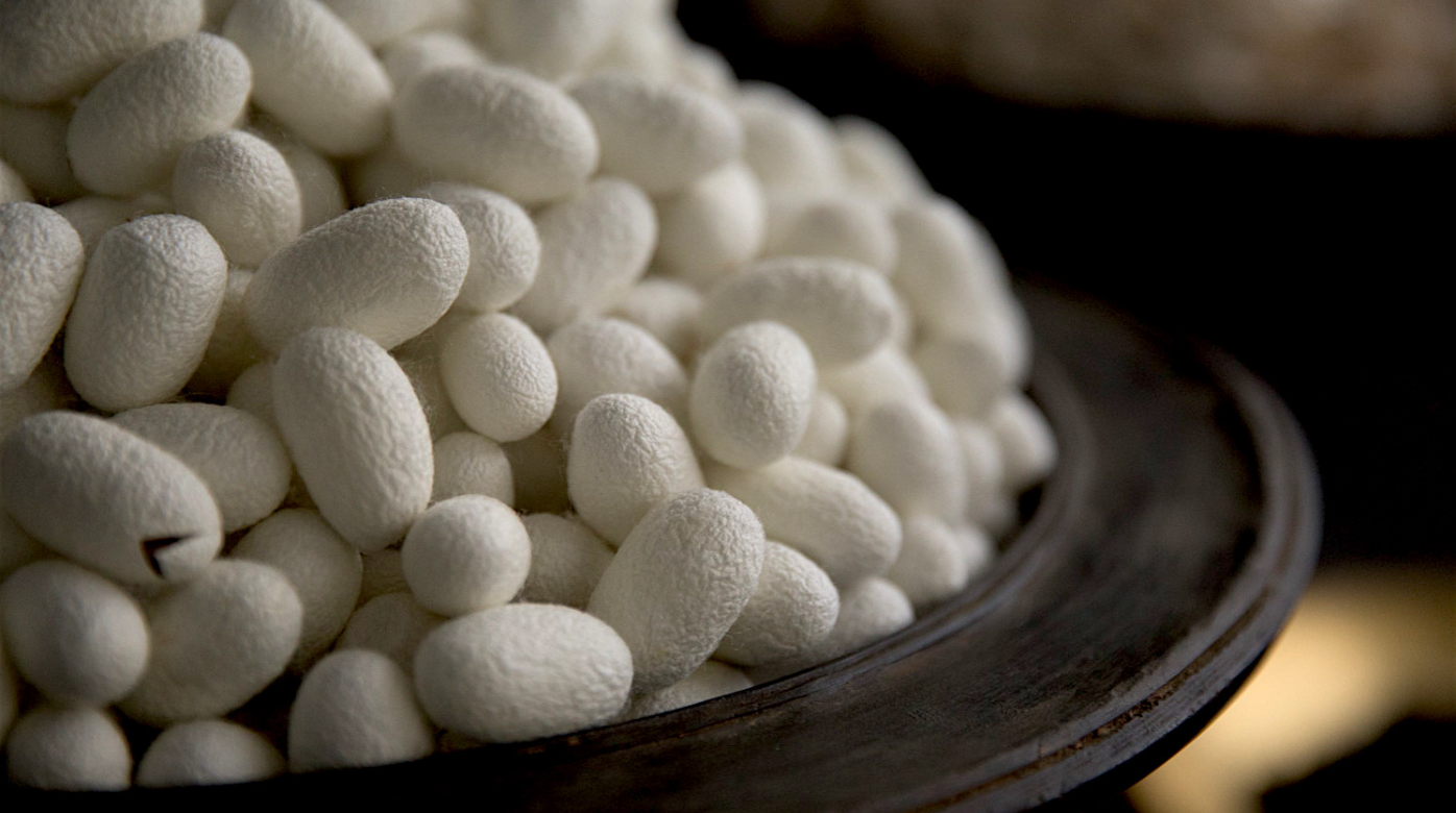 cocoon - Tania Gleave